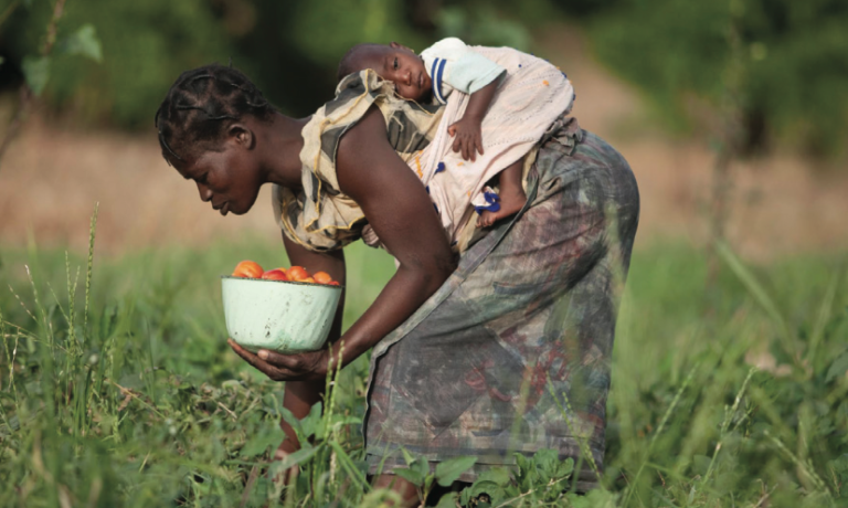 Global Food Security Act (GFSA) Passes in Congress - Growing Hope Globally