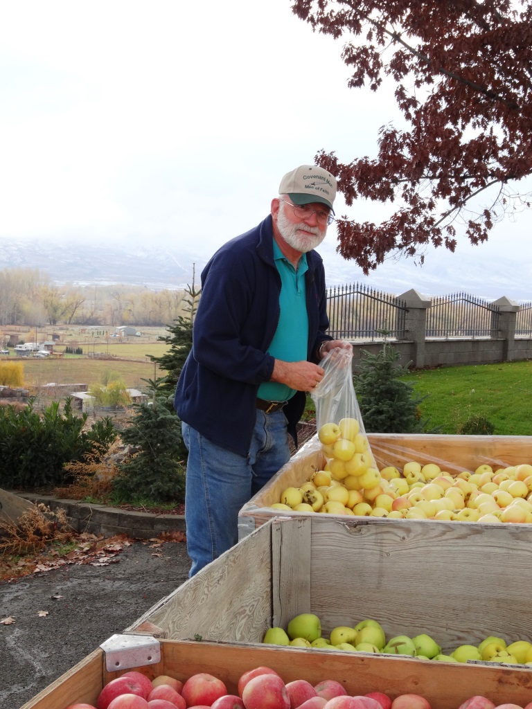 Selling Apples to Help Plant Fruit Trees in the Central Africa Republic ...