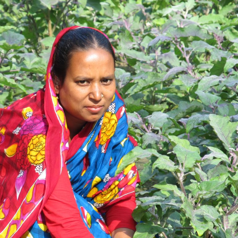 Bangladesh Kendua (140) - Square - Growing Hope Globally