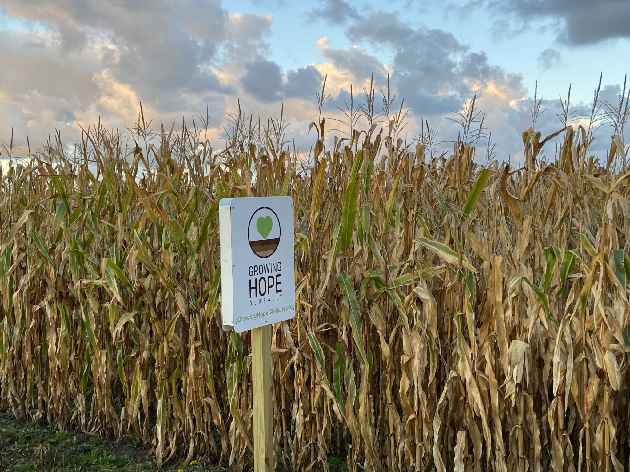 Get to Know Growing Hope - Growing Hope Globally