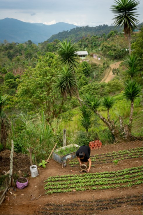 Honduras Macuelizo Trip 11-2022 - Growing Hope Globally