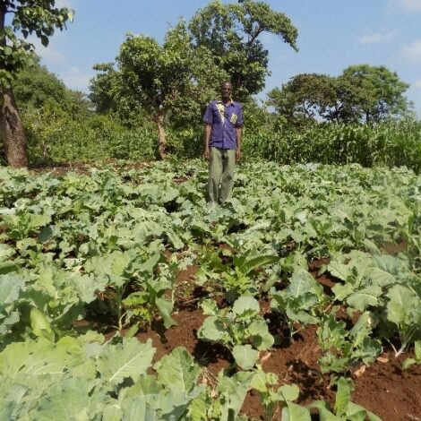 Home - Growing Hope Globally